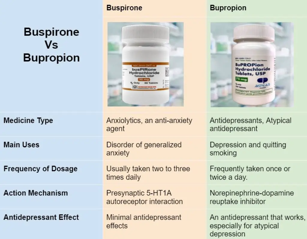 Buspirone Vs Bupropion: Key Differences & Similarities - Robustalive