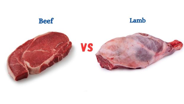 Lamb vs Beef Nutrition - Which one is Healthier for you?