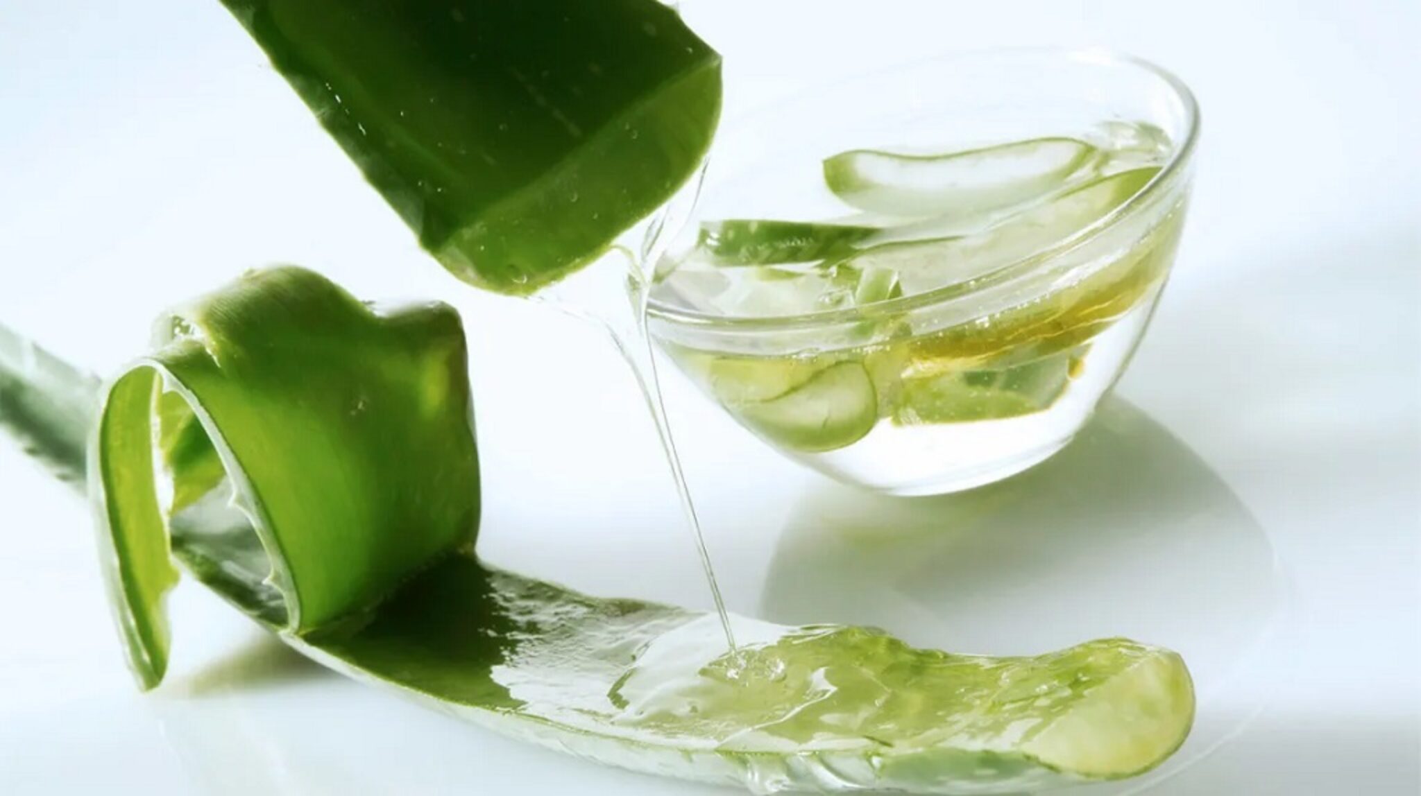 Does Aloe Vera Gel Expire? A Comprehensive Guide to Shelf Life and ...